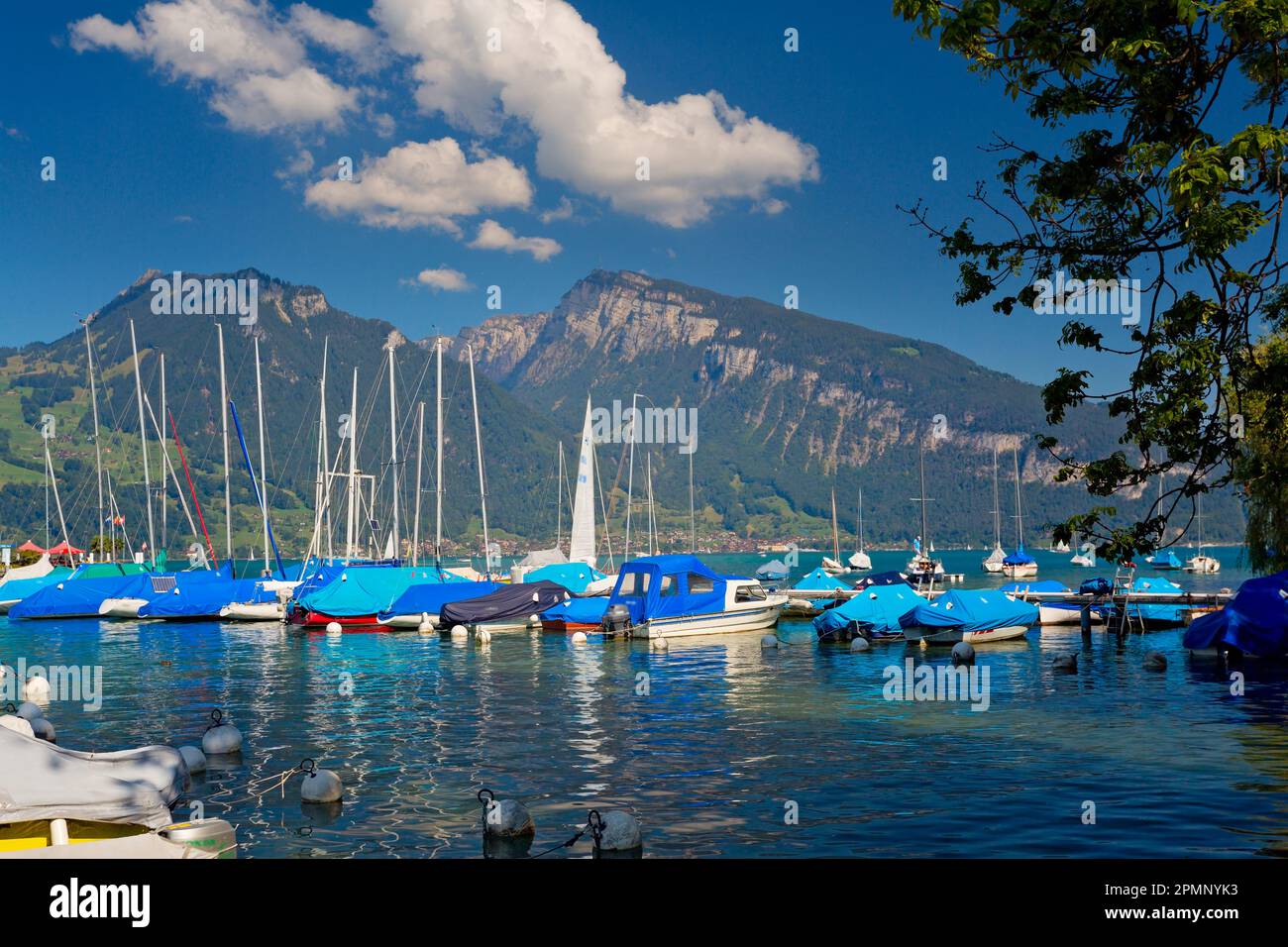 Old town of Spiez, Lake Thun, Alps, Switzerland Stock Photo - Alamy