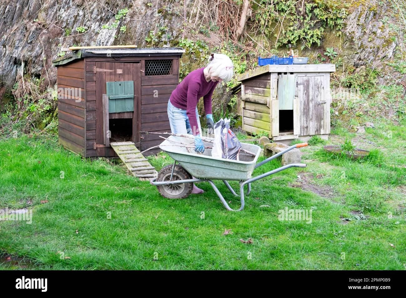 Cleaning hen house hi-res stock photography and images - Alamy