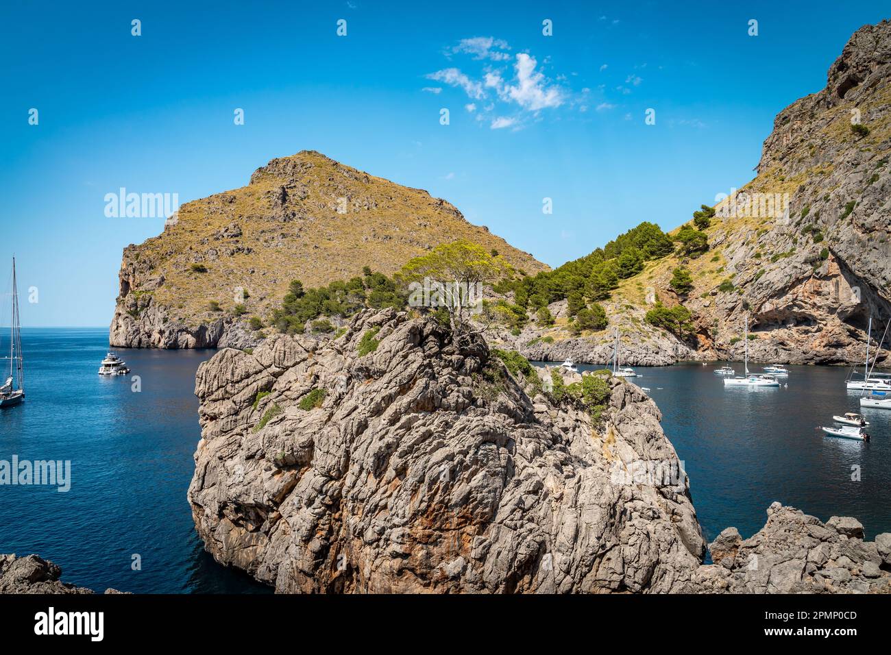 Majestic Tree Rock: A Stunning Natural Wonder in Sa Calobra Stock Photo ...