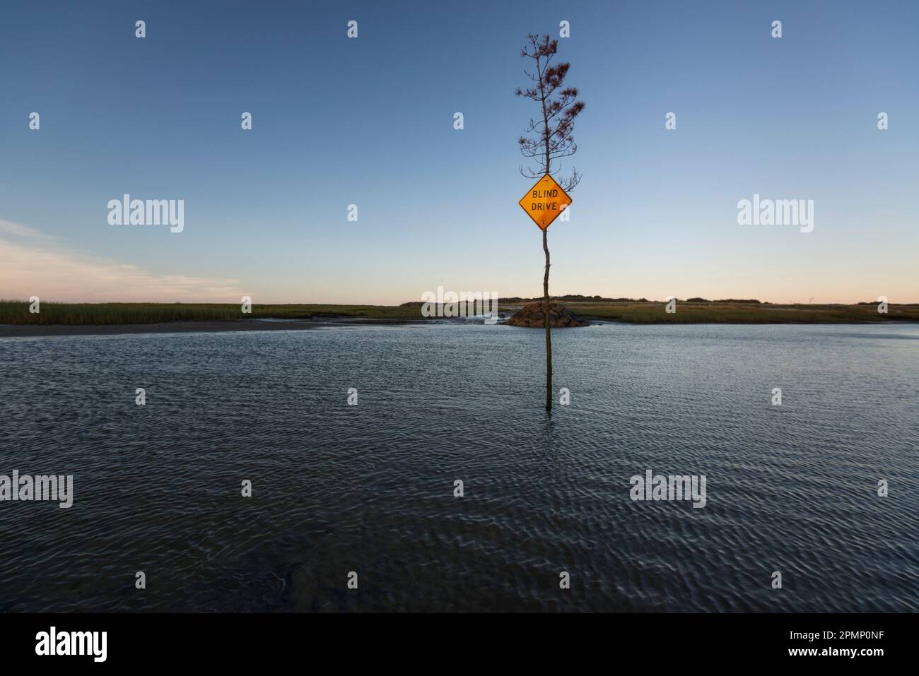 Blind Drive sign on a tree near the Cape Cod shore; Orleans, Cape Cod ...