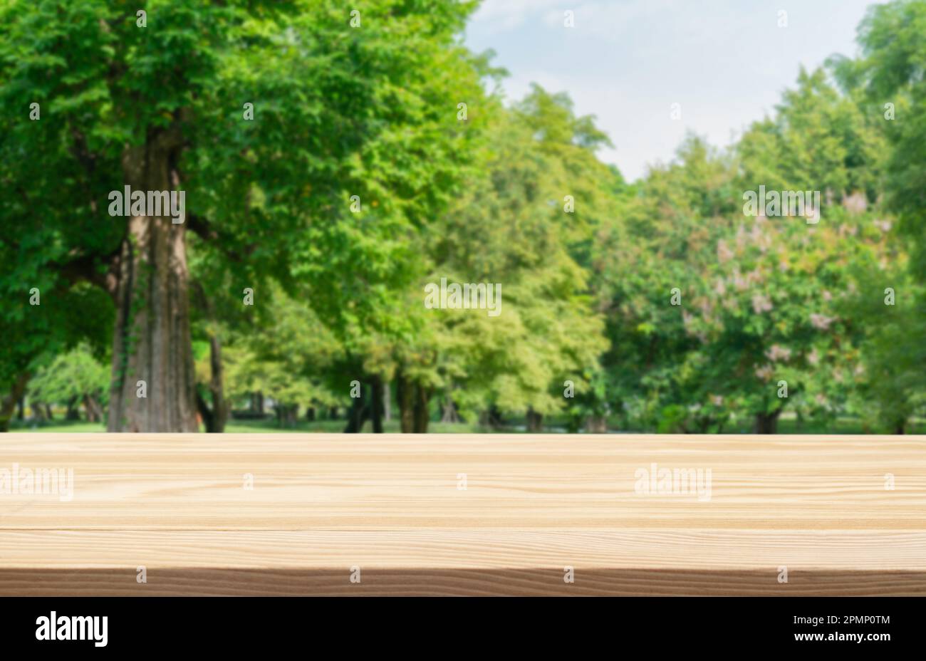 Wood tabletop podium floor in outdoors green leaf tropical forest ...