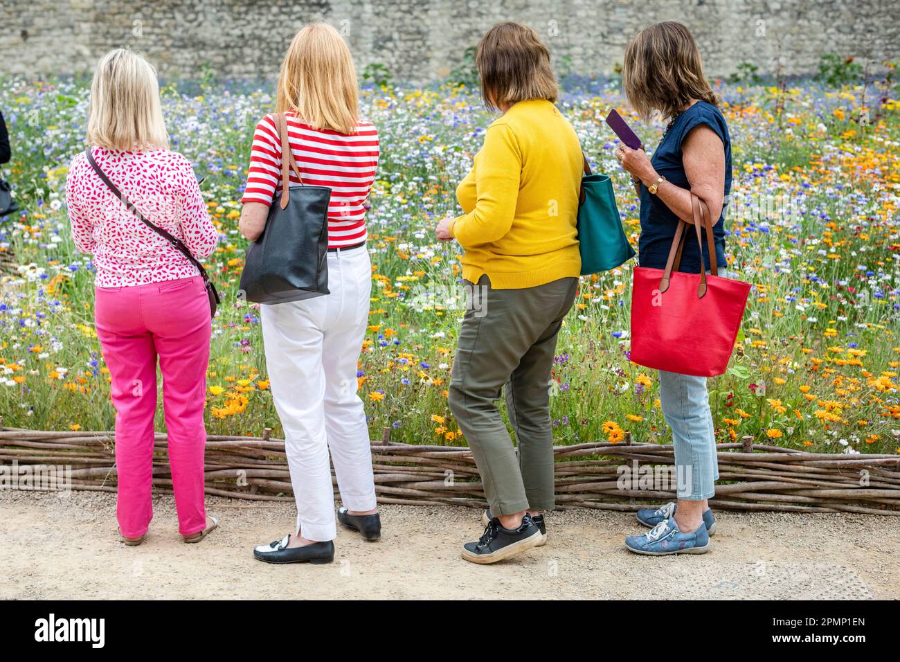 People looking on Super bloom Stock Photo - Alamy