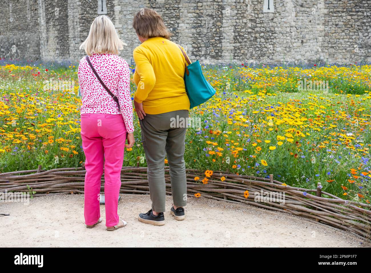 Tower of london moat illustration hi-res stock photography and images ...