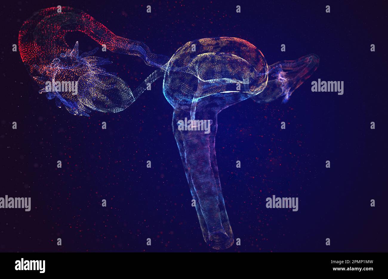 Futuristic glowing low polygonal female uterus organ hologram isolated ...