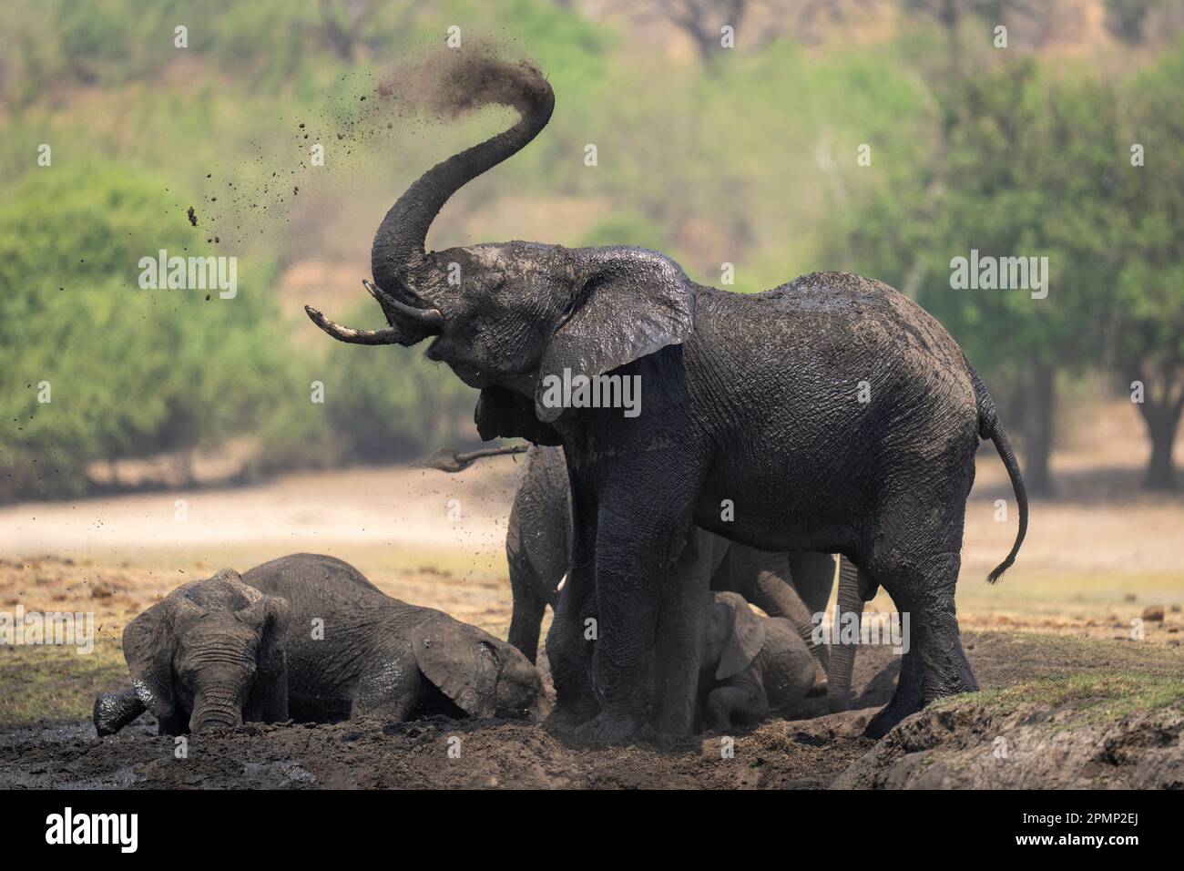 Stands in dust hi-res stock photography and images - Alamy