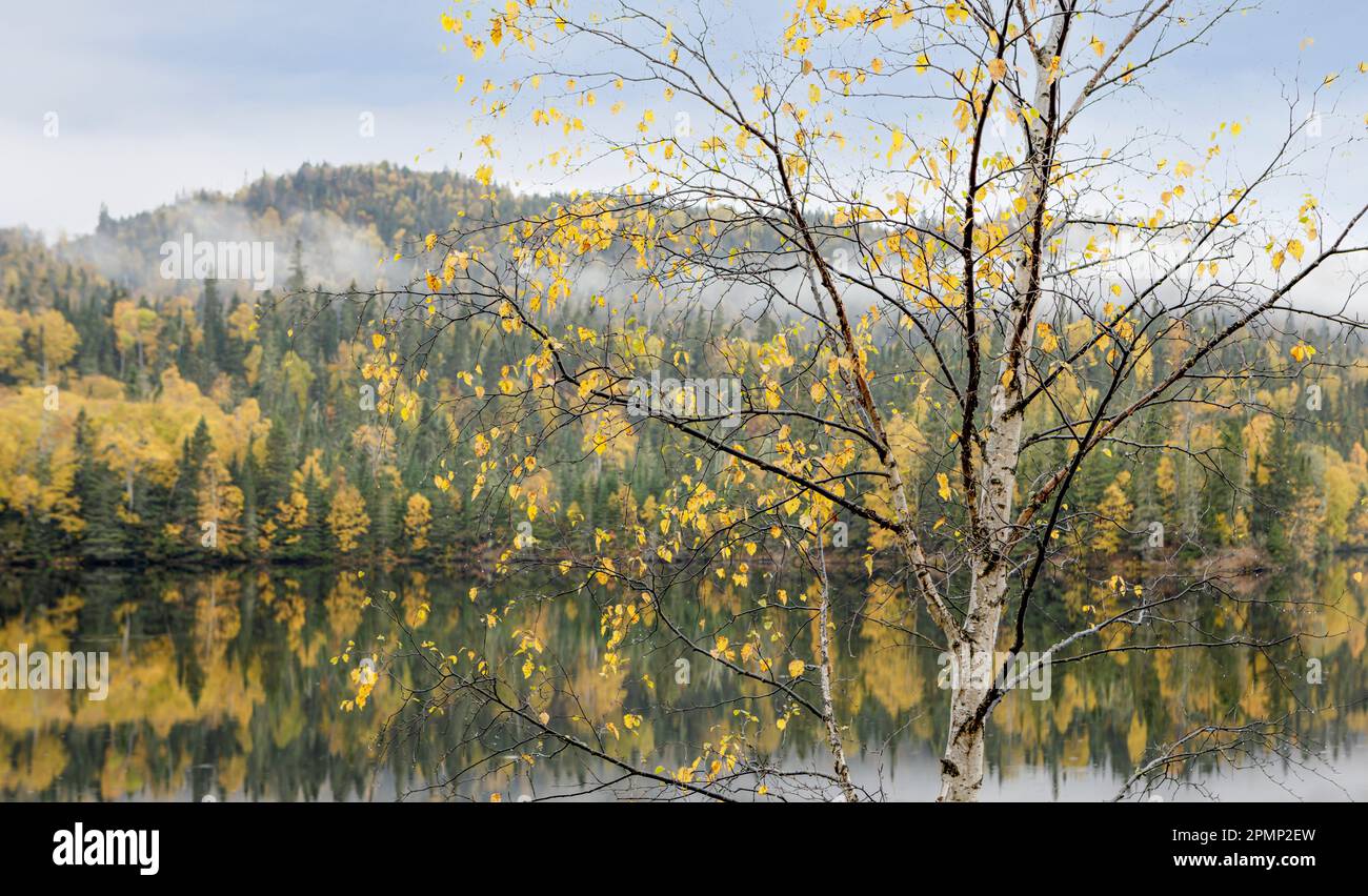 Autumn colours reflected in a lake; Terrace Bay, Ontario, Canada Stock ...