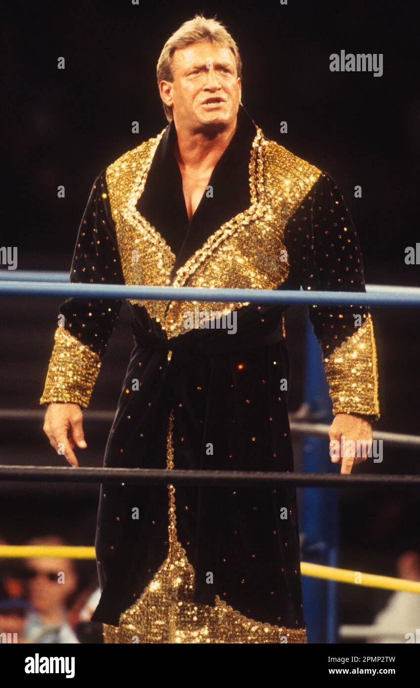 1993Paul Orndorff Photo by John Barrett/PHOTOlink / MediaPunch Stock ...