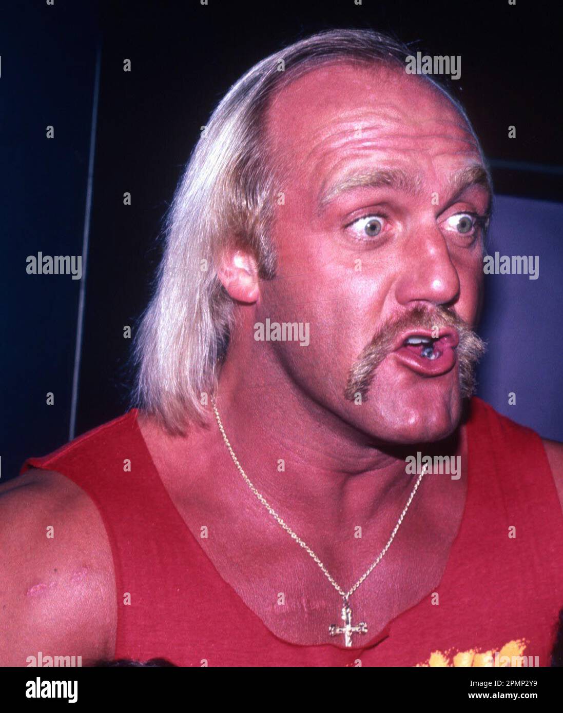 1987Hulk Hogan Photo by John Barrett/PHOTOlink / MediaPunch Stock Photo ...