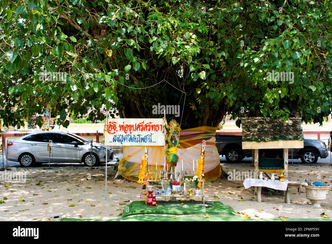 Ancient Khun Sri Sattha shrine in bodhi tree and banyan plant of Wat ...