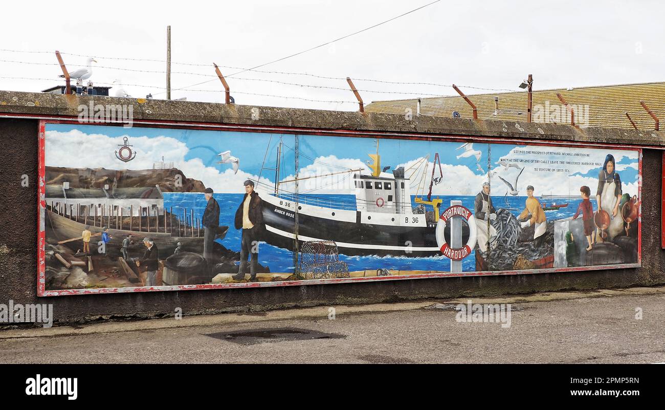 Portavogie harbour hi-res stock photography and images - Alamy