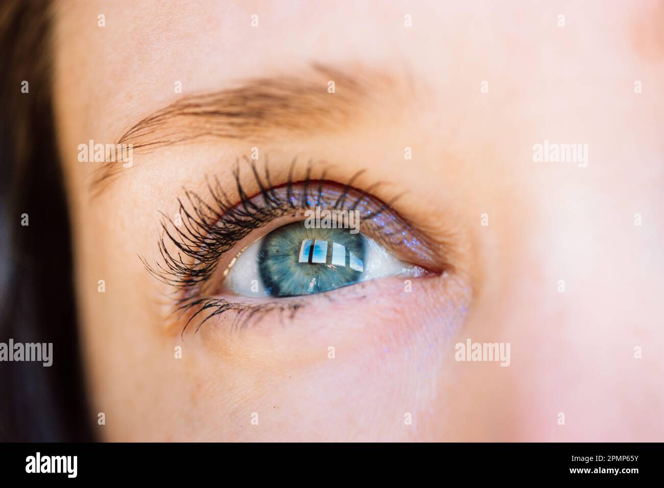 Beautiful gray-blue eyes with long lashes. Young woman, a girl is ...