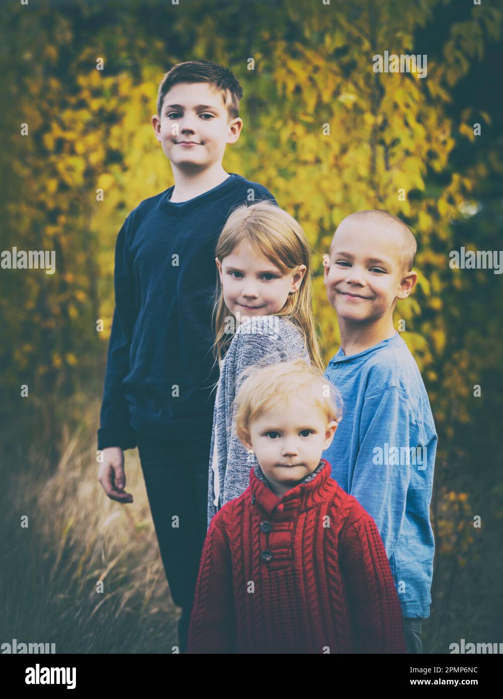 Outdoor portrait of four young siblings in autumn; Edmonton, Alberta ...