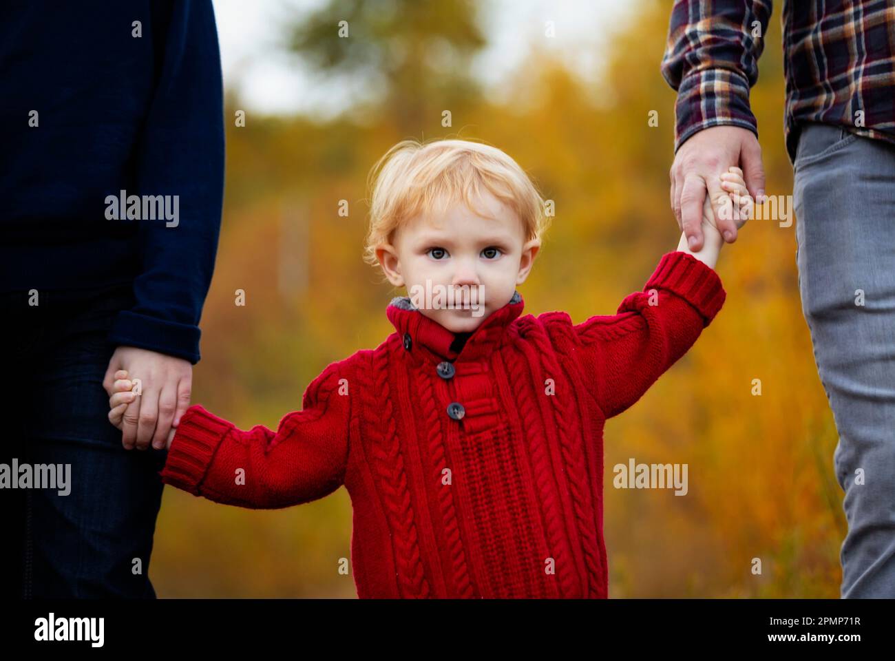 Child holding hands parents hi-res stock photography and images - Alamy