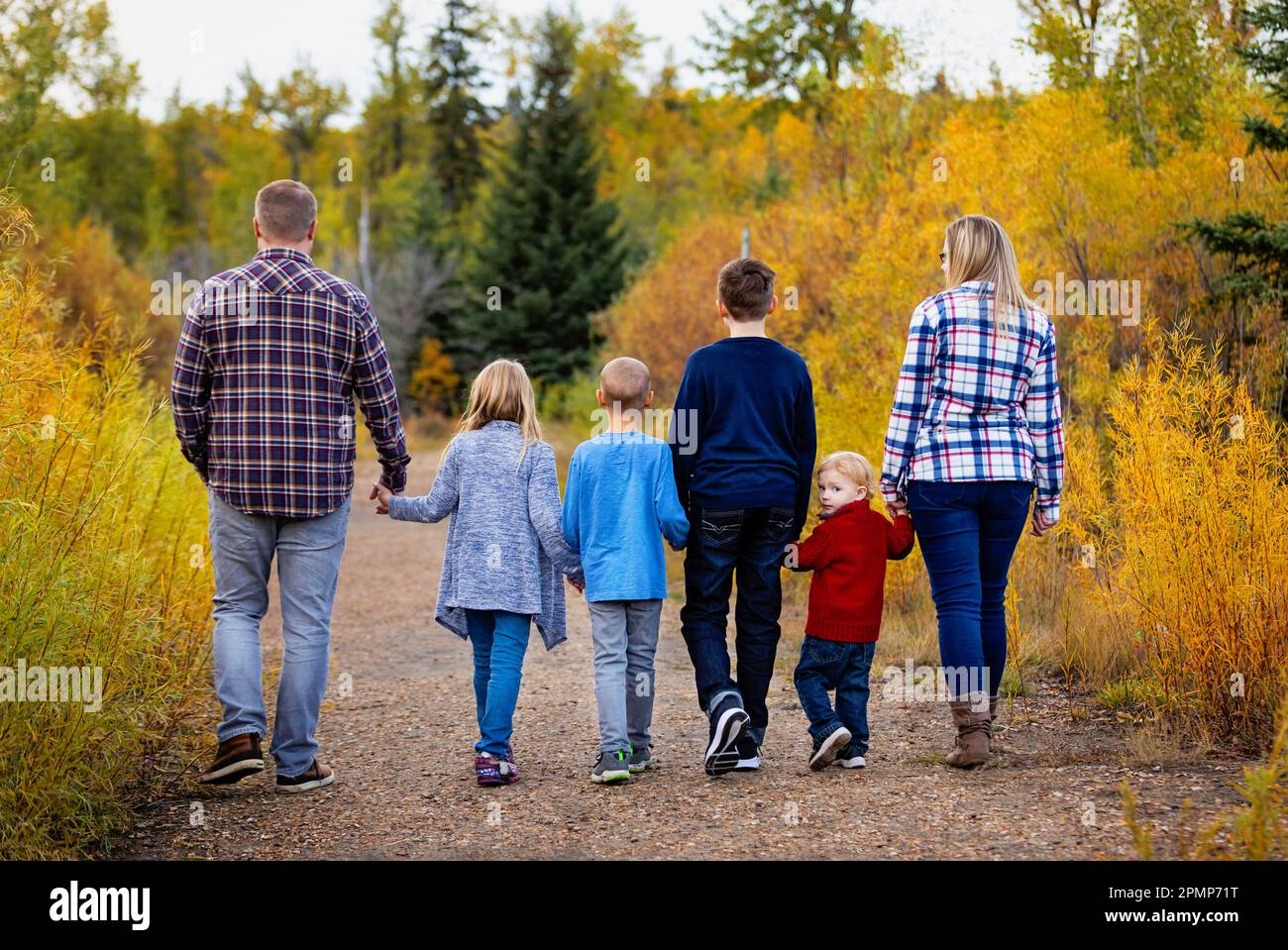 Family of six walking together hand in hand in a park in autumn ...