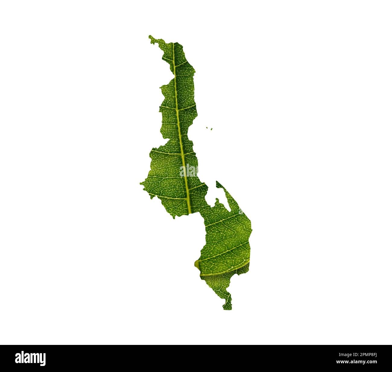 An illustration of a green leaf in a shape of a map isolated on the ...