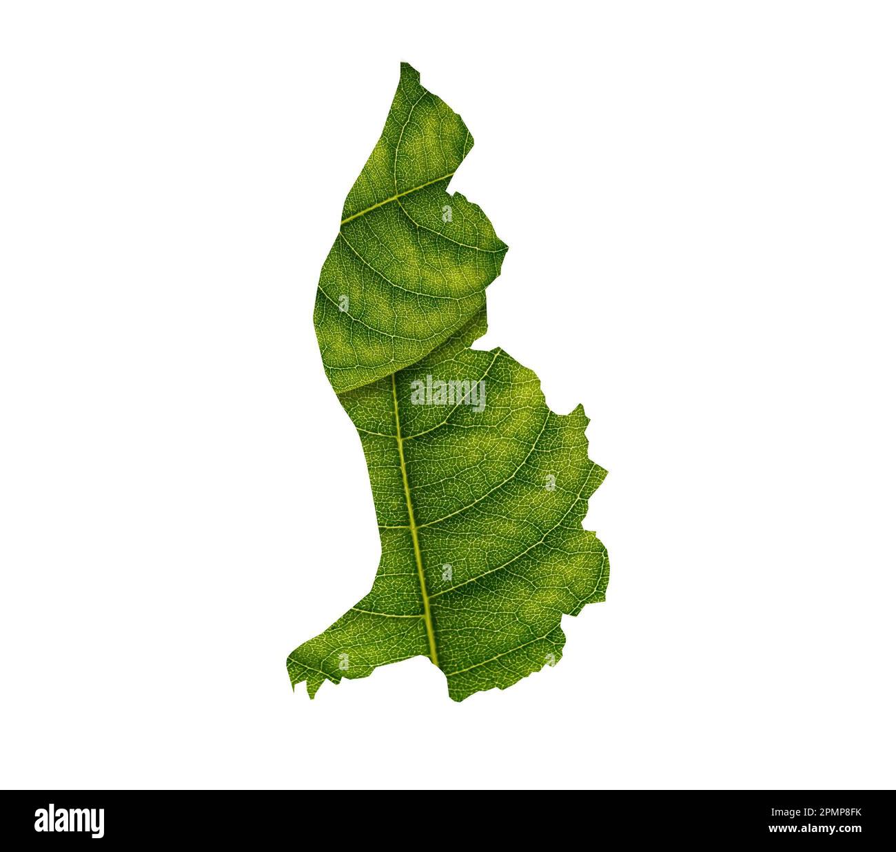 An illustration of a green leaf in a shape of a map isolated on the ...