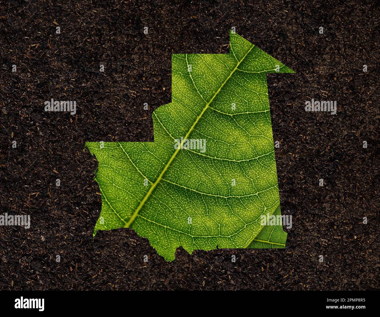 An illustration of a green leaf in a shape of a map on the background ...