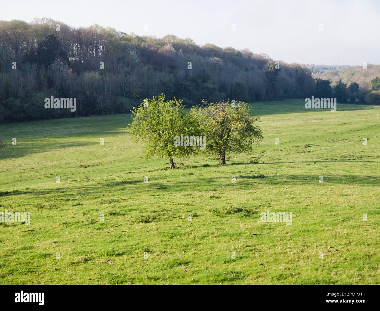 Open green field hi-res stock photography and images - Alamy