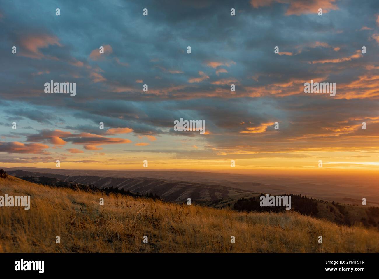 Umatilla oregon hi-res stock photography and images - Alamy