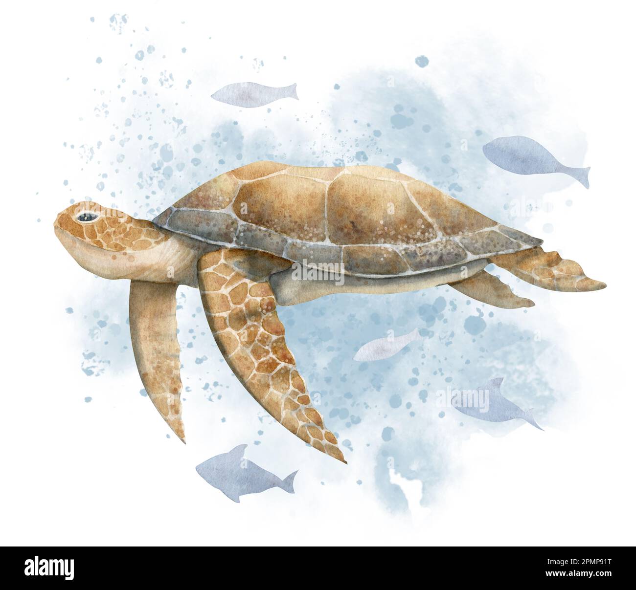 Sea Turtle with fishes and watercolor splash. Hand drawn watercolor ...