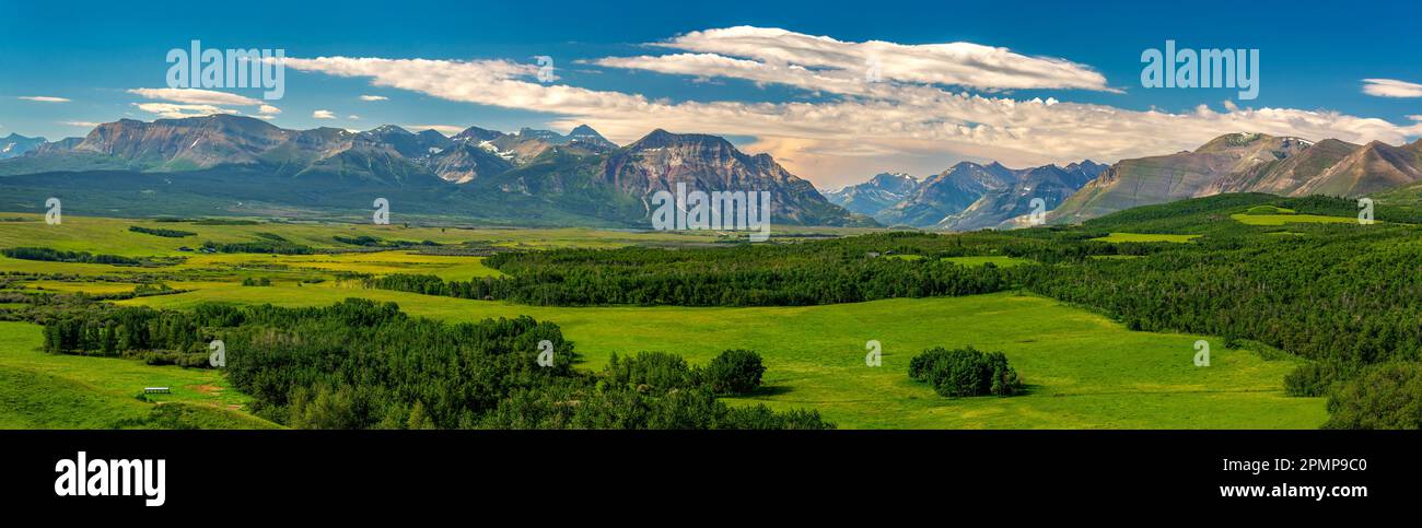 Panorama view of green fields with trees, rolling foothills, mountain ...