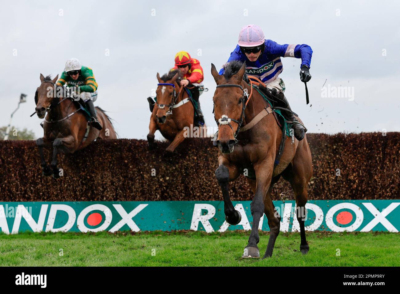 Pic d'orhy horse hi-res stock photography and images - Alamy