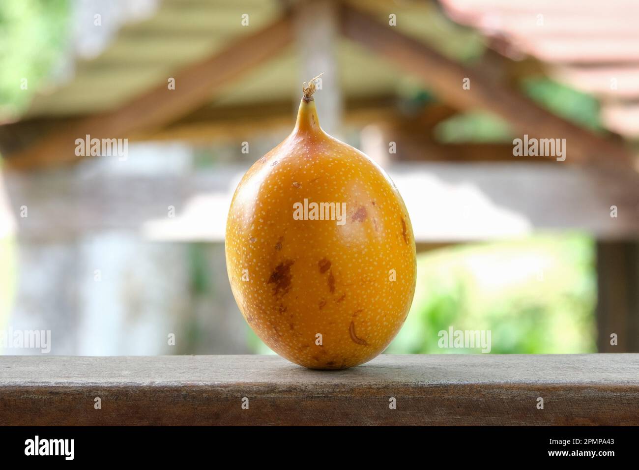 Close up detailed exotic fresh Granadilla fruit orange fruit on the ...