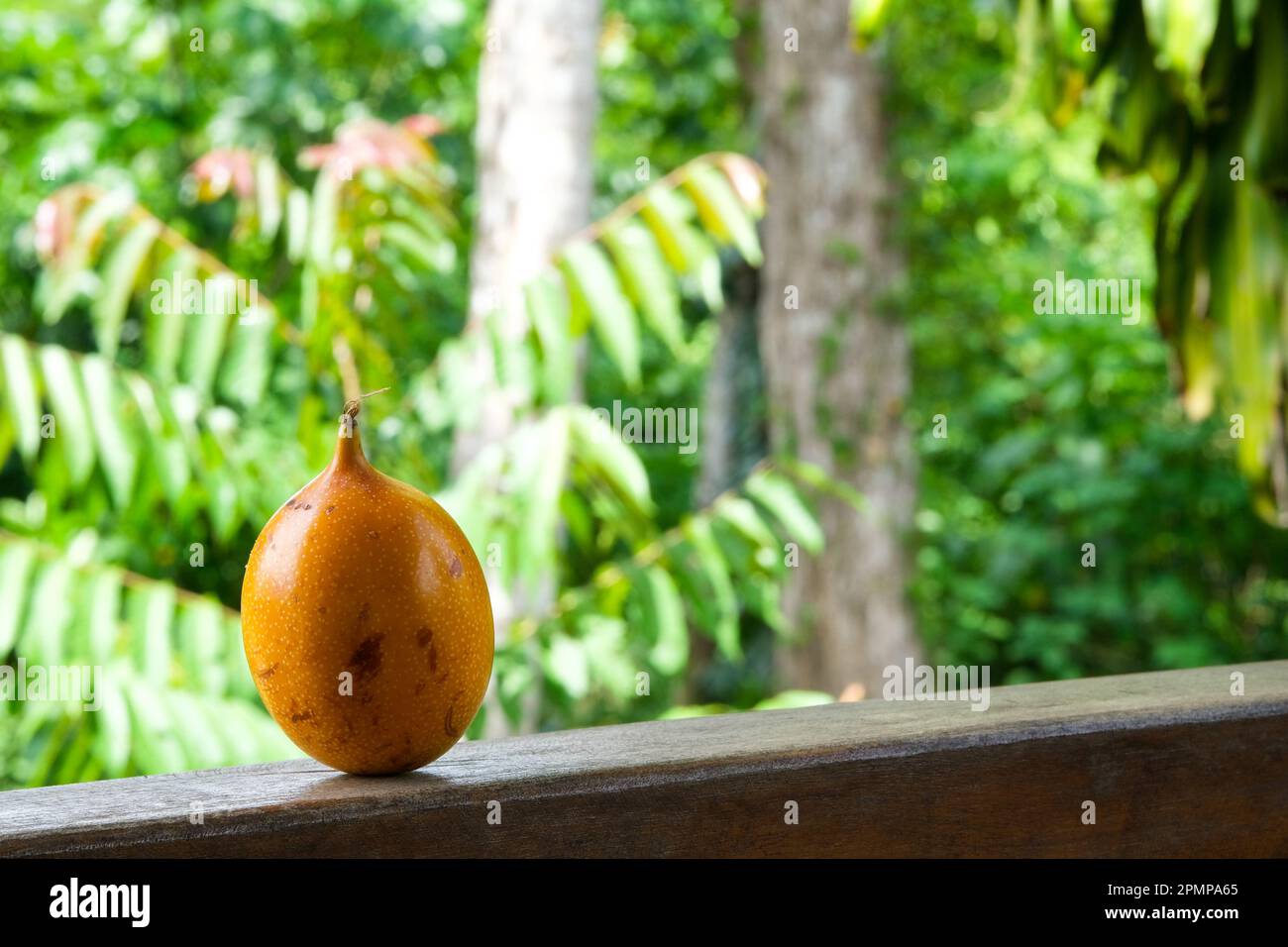 Close up detailed exotic fresh Granadilla fruit orange fruit on the ...