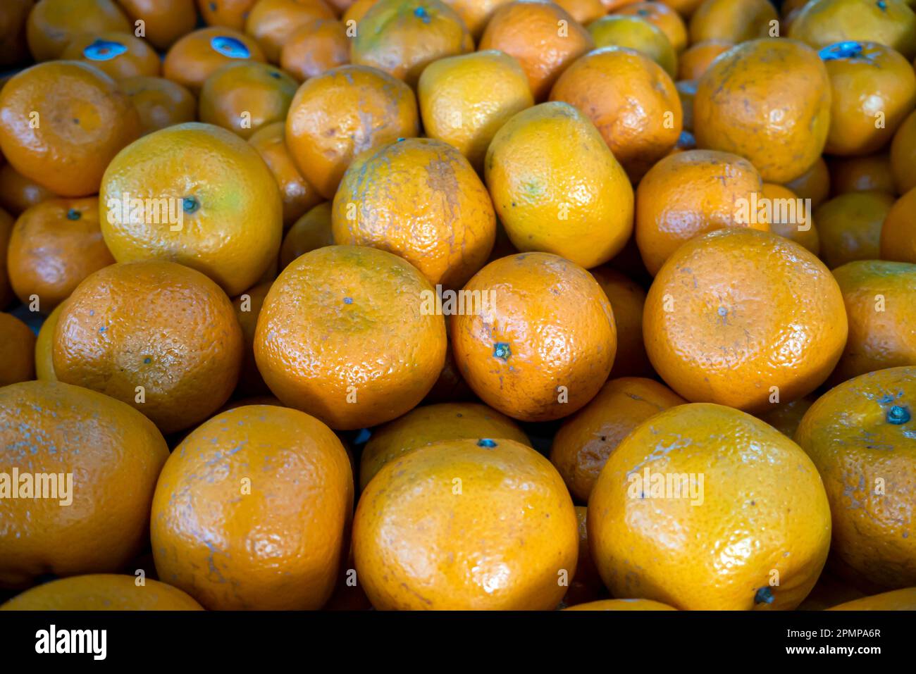A pile of ripe oranges in the supermarket Stock Photo - Alamy