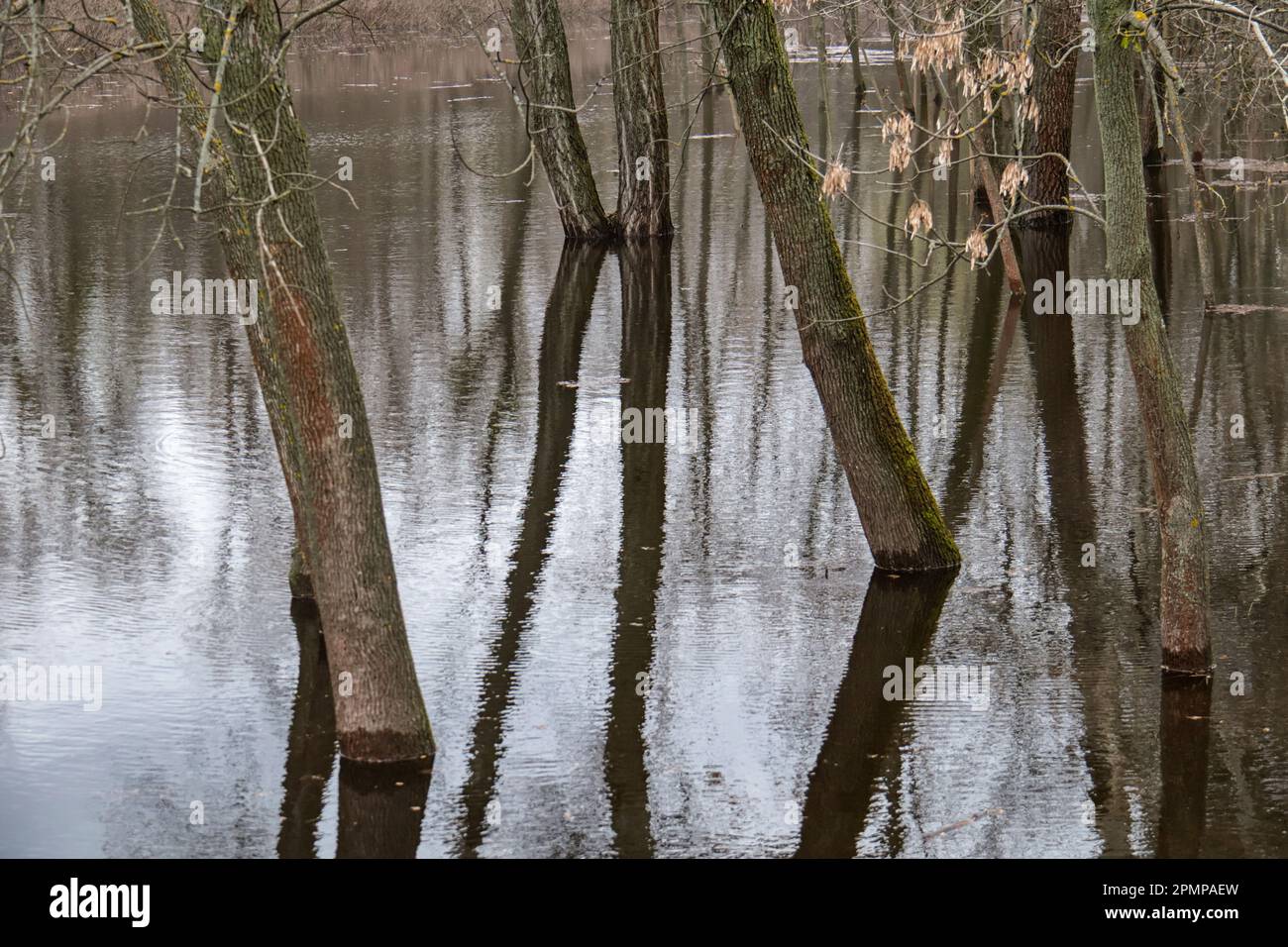 Dnipro River