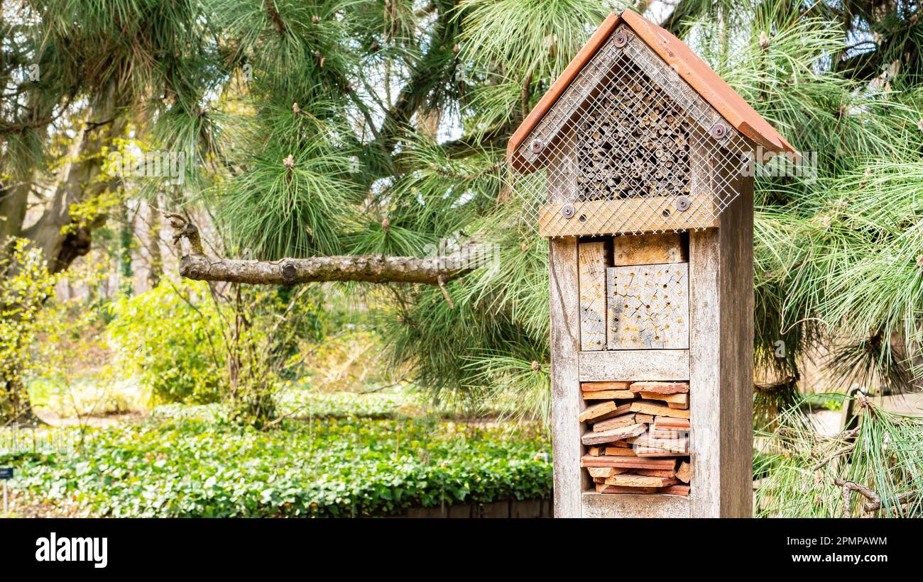 Insect hotel with many houses made of natural materials for various ...