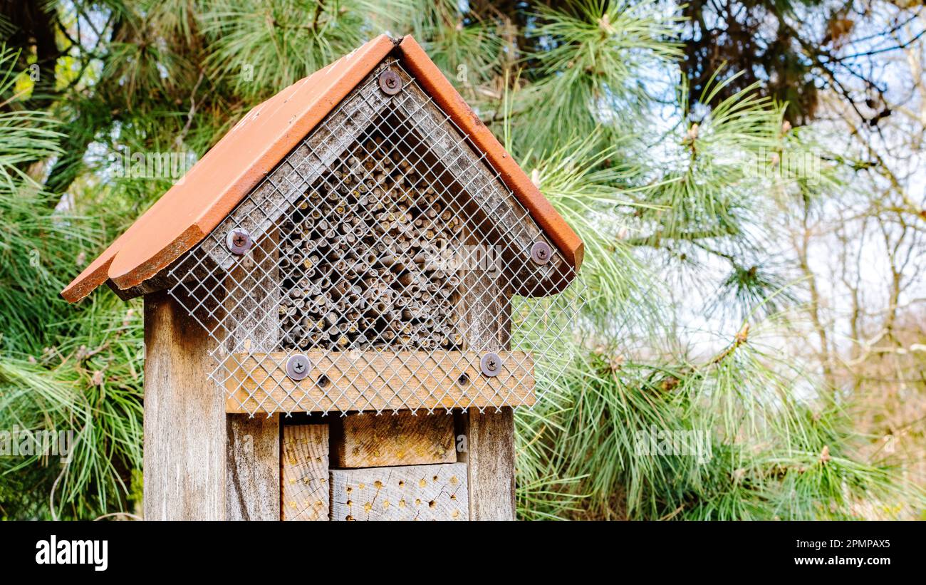 Insect house close up photo with copy space. Biological pest control ...