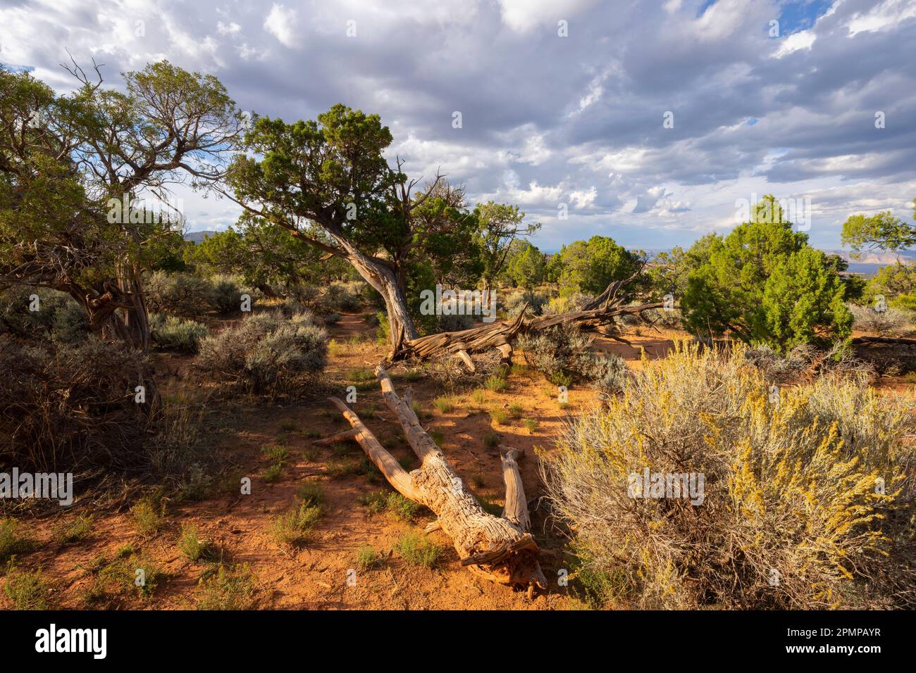 Landscape of Colorado National Monument near Grand Junction, Colorado ...