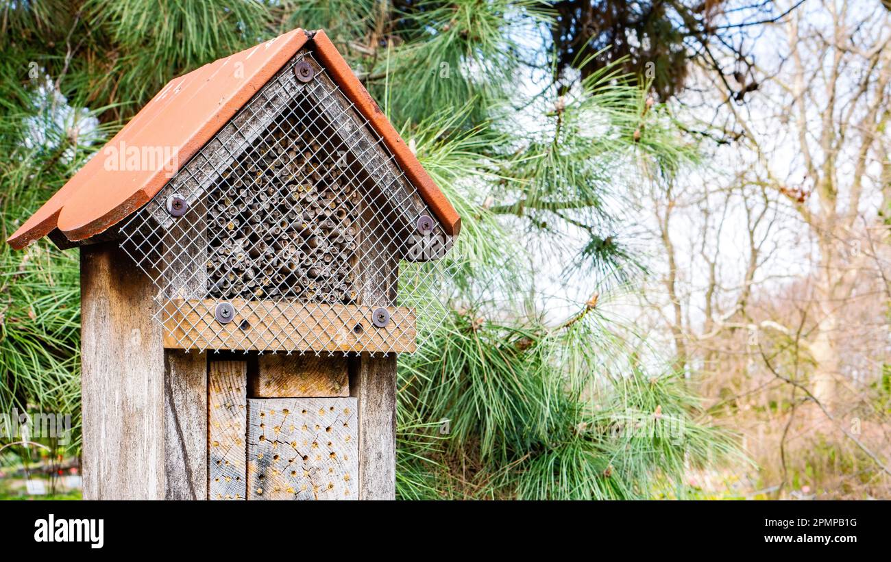 House for insects that protect the garden from pests. Biological pest ...