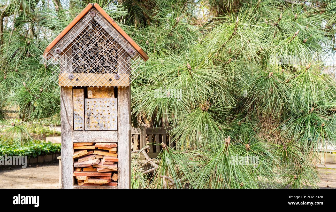 Insect house in a sustainable garden. Biological pest control methods ...