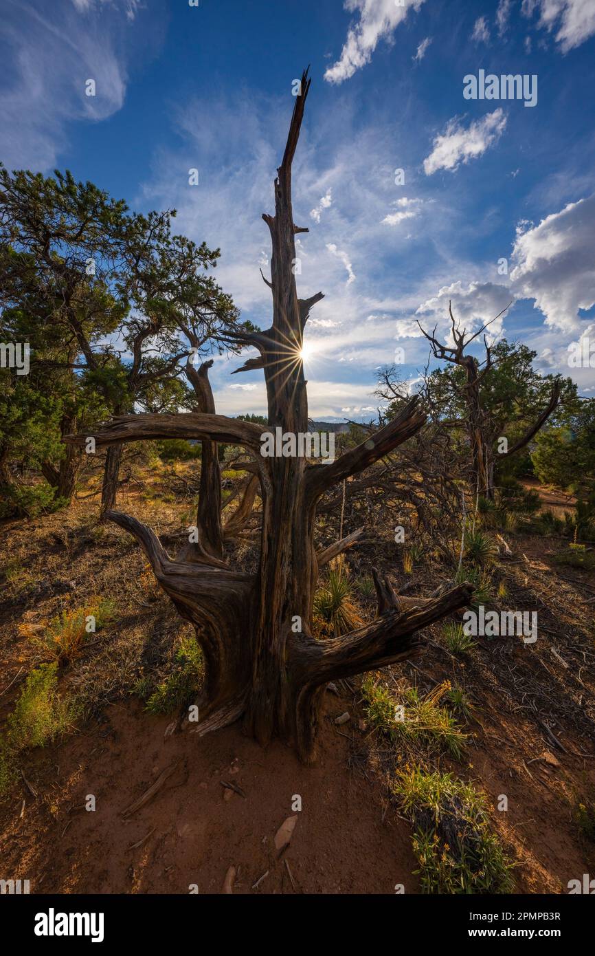 Example of erosion hi-res stock photography and images - Alamy
