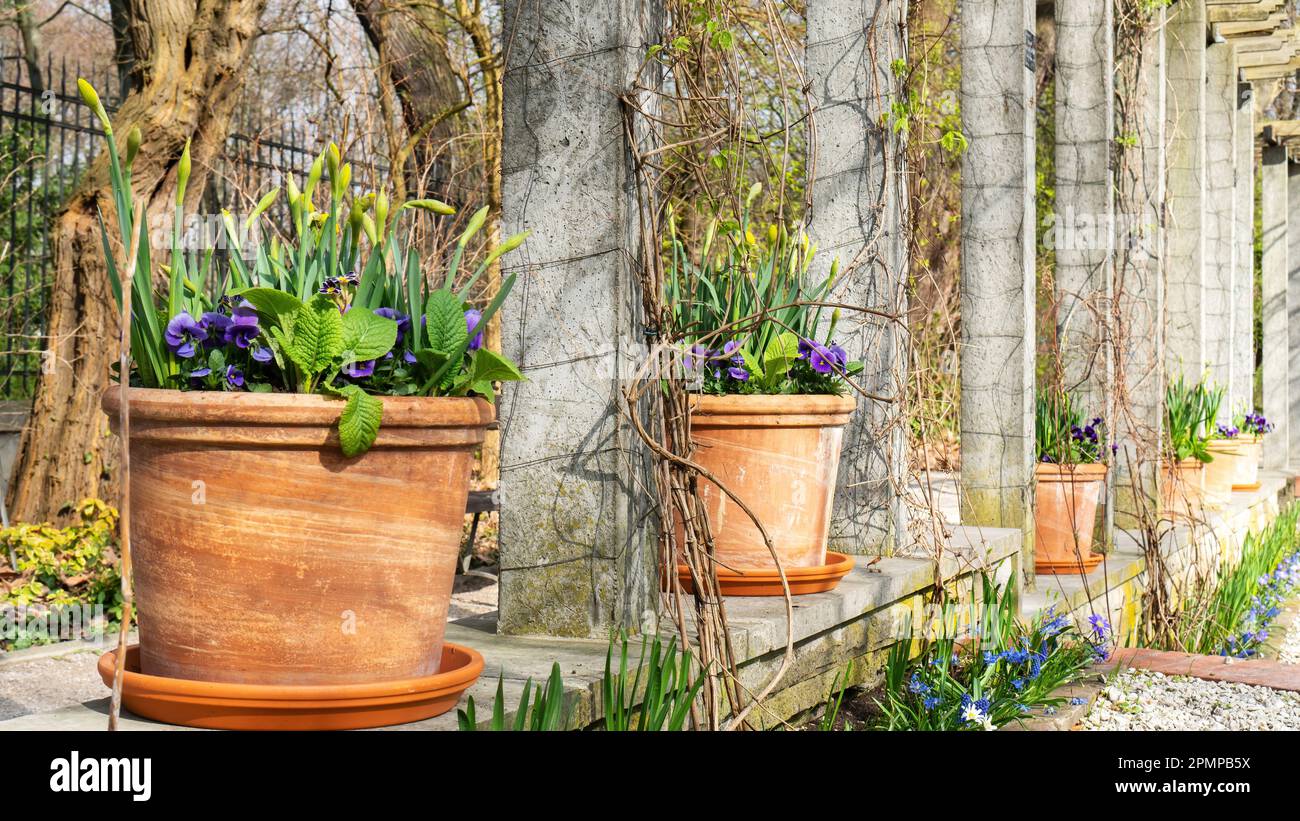 Perspective in landscape design. Spring garden decorating ideas. Spring ...