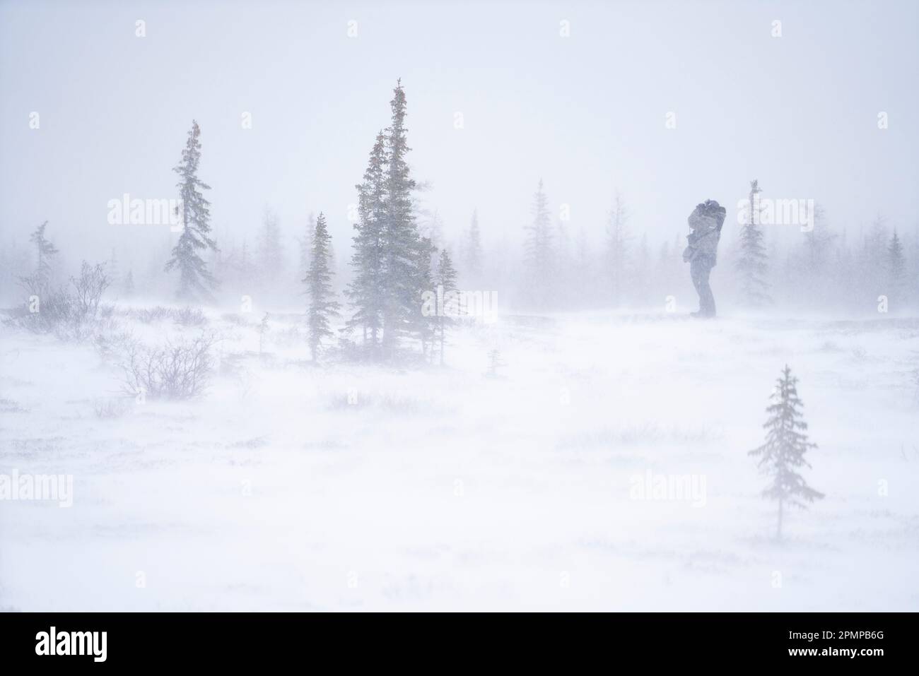 Blizzard [prairies winter storm] hi-res stock photography and images ...