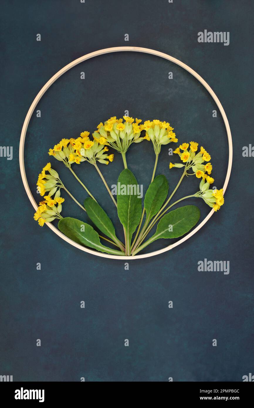 Cowslip wildflower abstract nature design with round wooden wreath ...