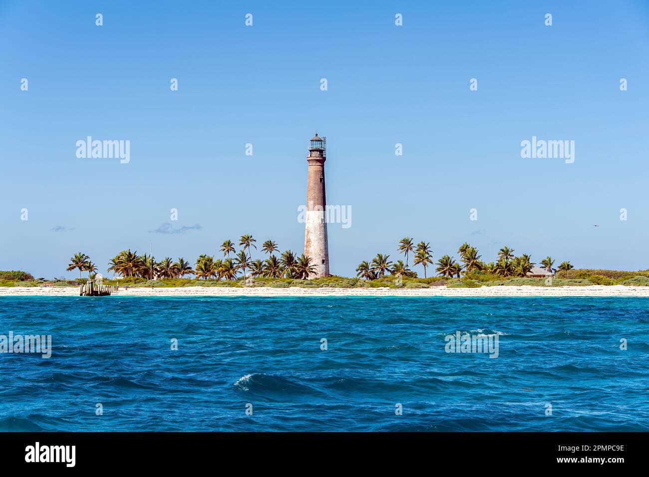 Loggerhead park hi-res stock photography and images - Alamy