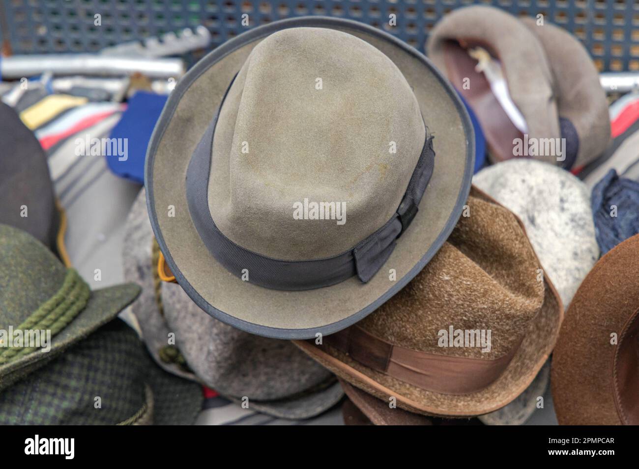 Senior style hi-res stock photography and images - Alamy