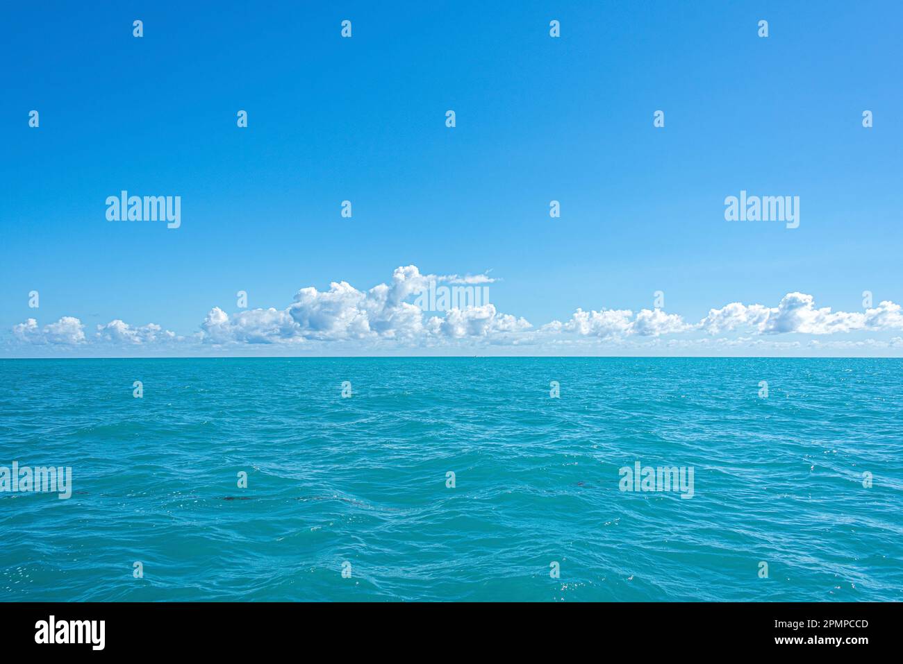 Turquoise ocean water and clouds in a blue sky; Florida Keys, Florida ...