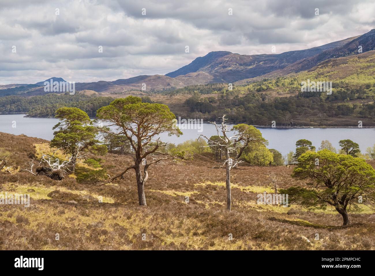 The Affric Kintail Way is a fully signposted, superb cross-country ...