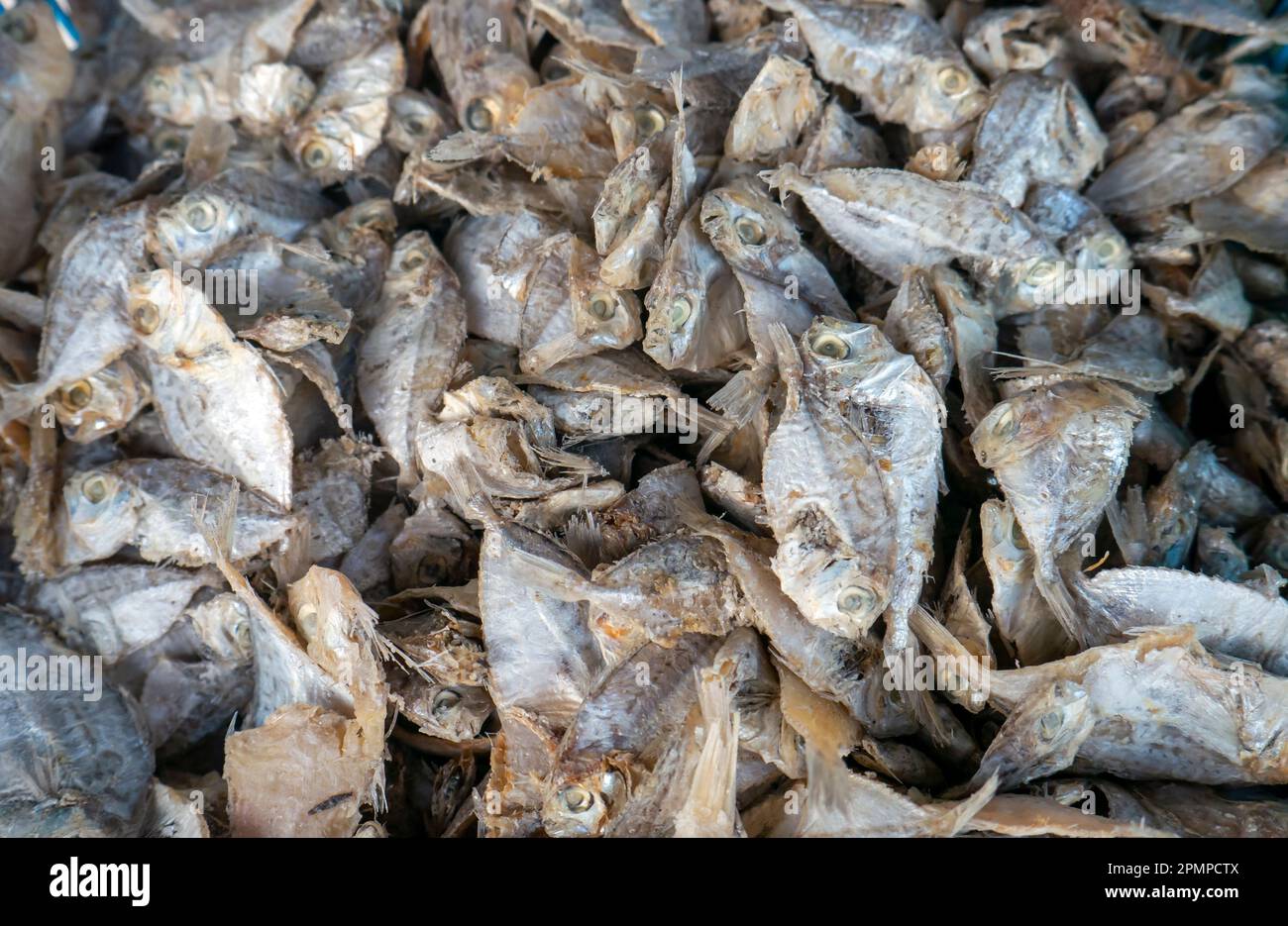 Ikan asin, salted fish at traditional market in Yogyakarta, Indonesia ...