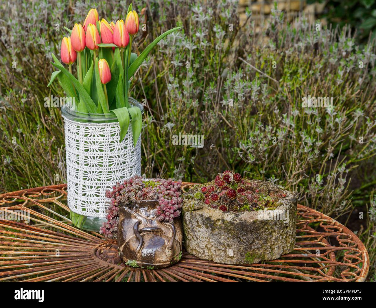 spring time in a german garden Stock Photo - Alamy