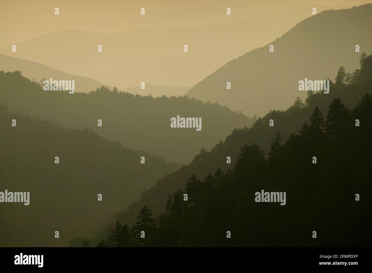 Silhouetted layers of mountains in the Appalachian Mountains of ...