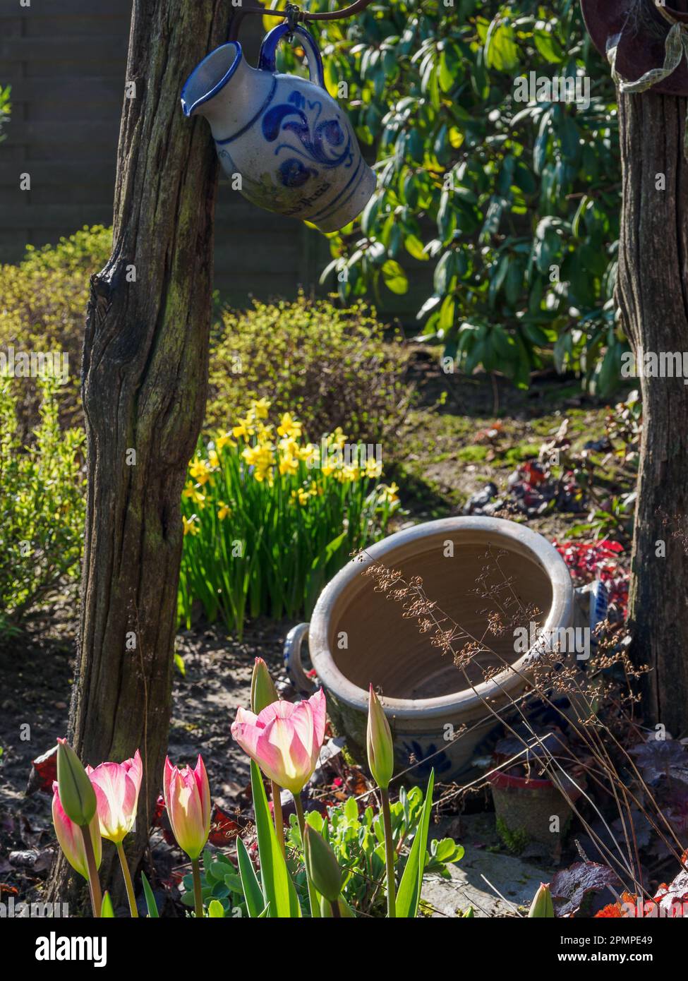 spring time in a german garden Stock Photo - Alamy