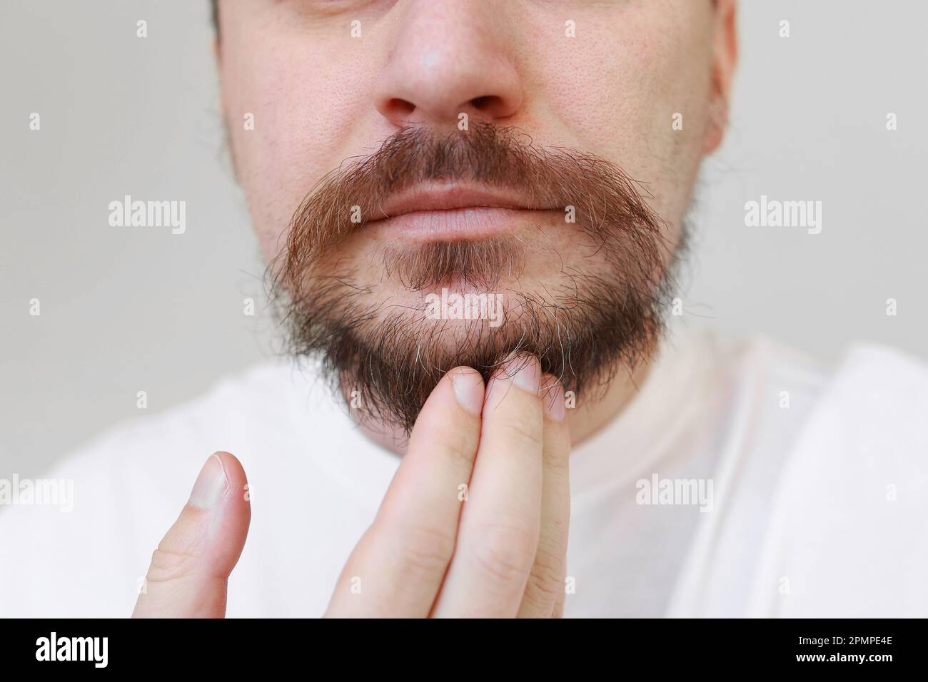 Cropped photo of bearded man shows first gray hairs on overgrown shaggy ...