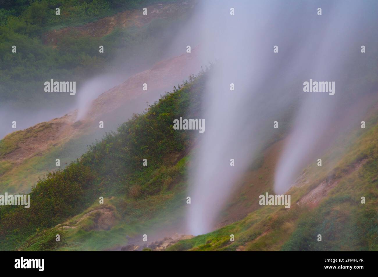 Steam rises from vents in the Valley of the Geysers; Kronotsky ...