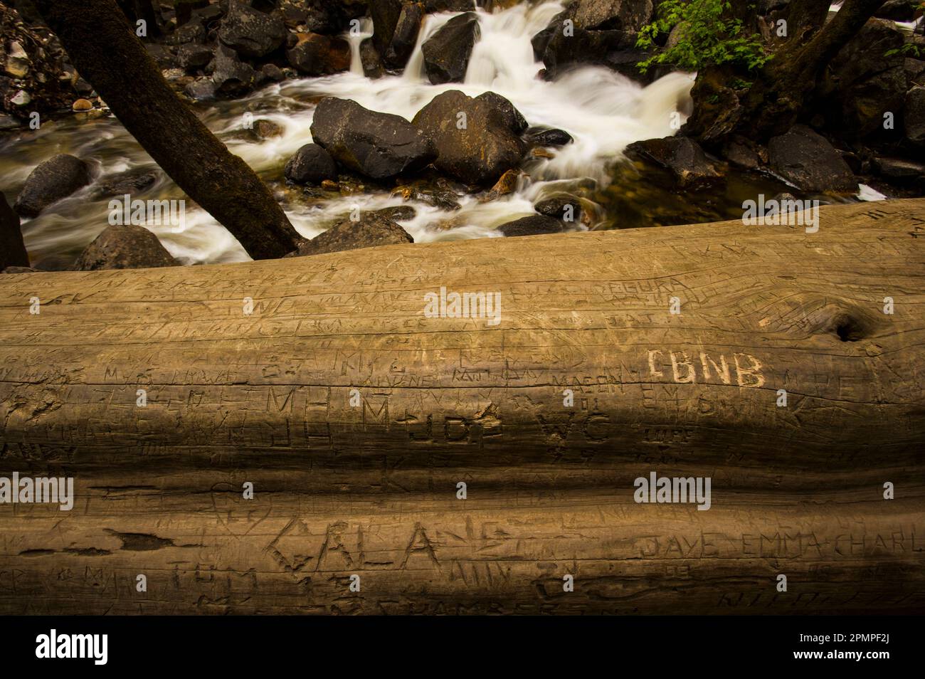 Graffiti carved on a log near Bridal Veil Falls, Yosemite National Park ...